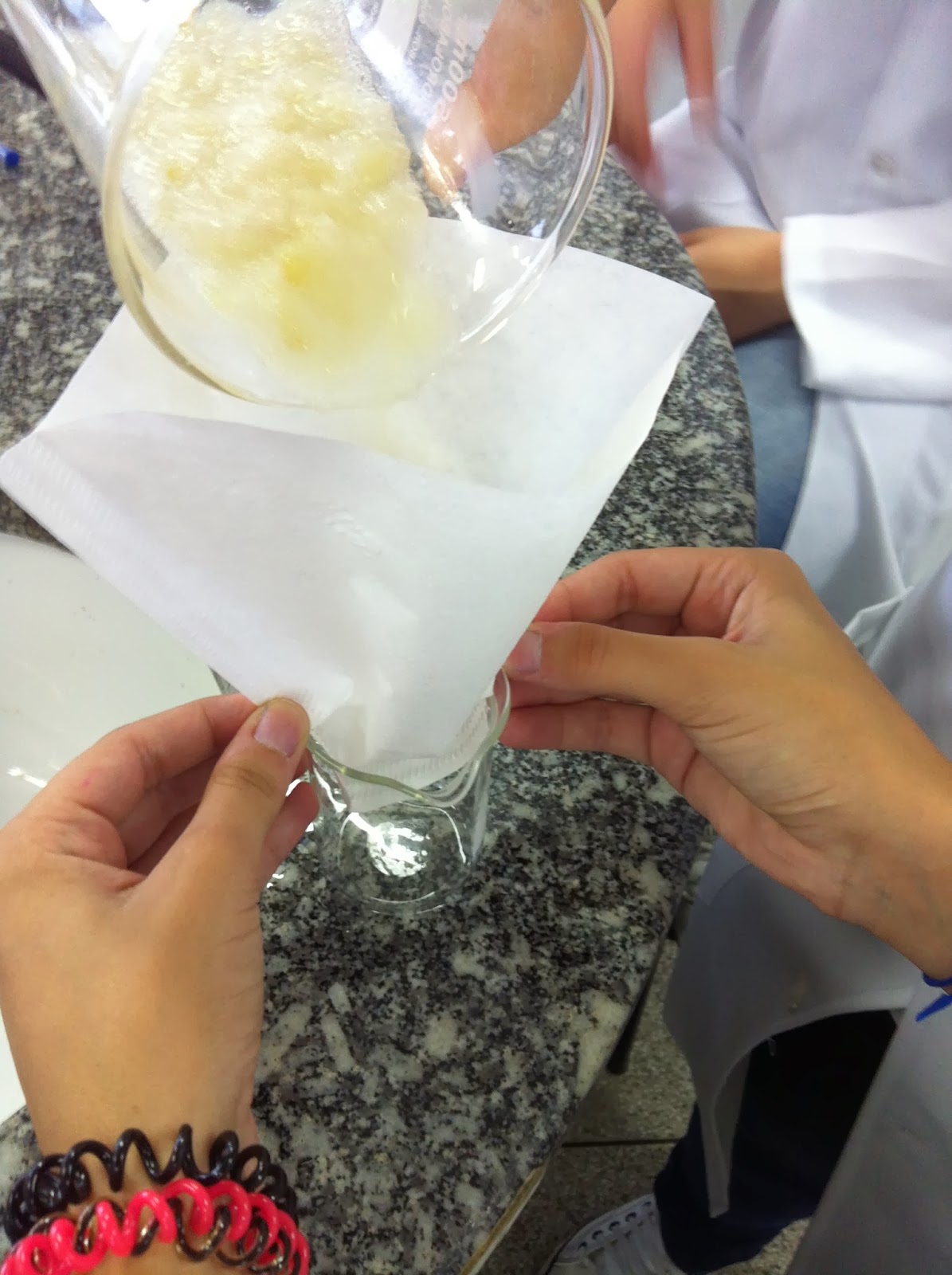 Biotecnologia - O DNA Pela Vida: Experimento: Extração do DNA da cebola